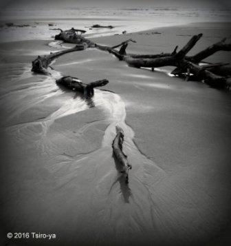 nature, mortal | Shutterbug